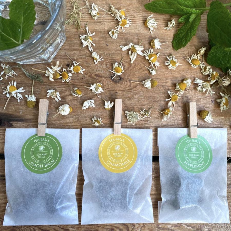 FIVE OF THE BEST TEA GROWING KITS… – THE VILLAGE KITCHEN
