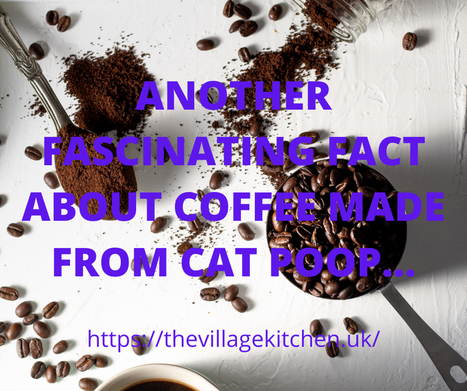 ANOTHER FASCINATING FACT ABOUT COFFEE MADE FROM CAT POOP… – THE VILLAGE ...